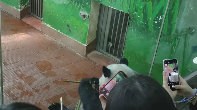 Китай. Город Гуанчжоу. Как надоели туристы!