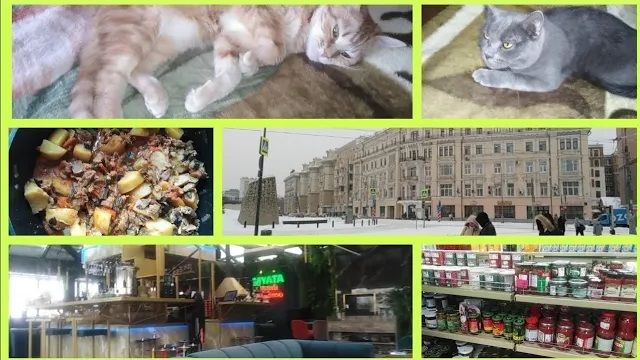 10-2024 Метель _ По делам в центр _ Полочки в Фамилии _ Ужин в ресторане на 14 февраля _ Elena Pero