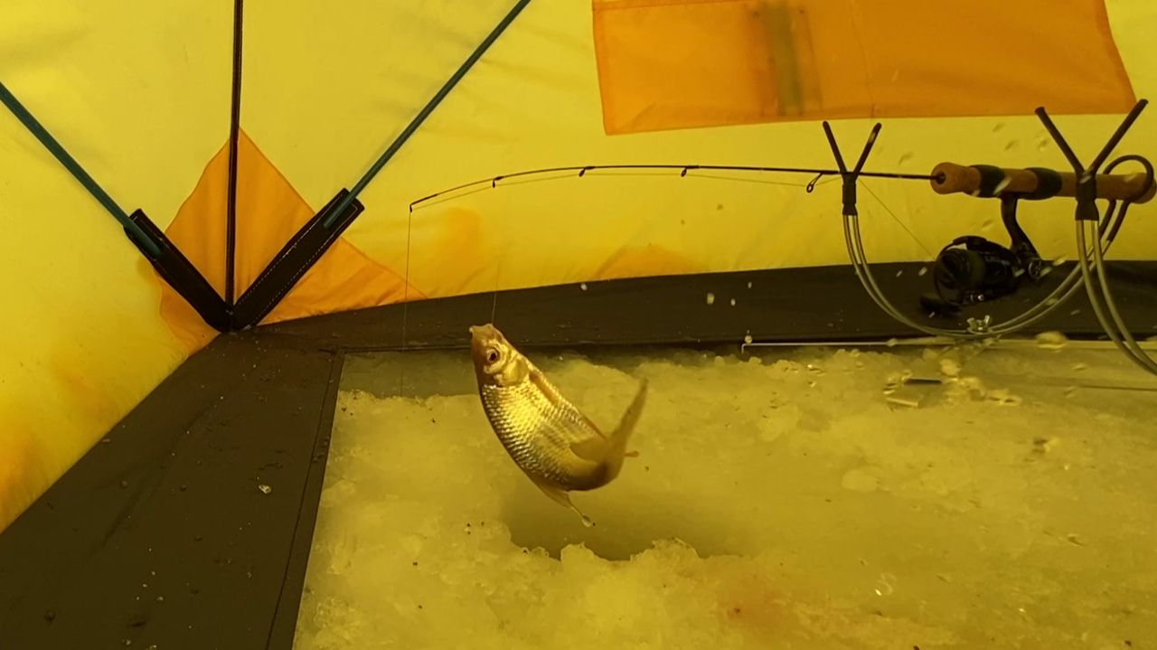 САМАЯ ЛУЧШАЯ СНАСТЬ НА ПЛОТВУ