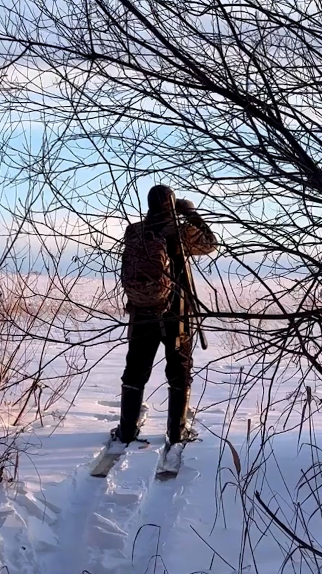 Вечерняя охота скрадом, высмотрел двух лисиц.