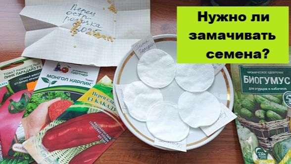Почему я не замачиваю семена для прорастания? Есть две причины!