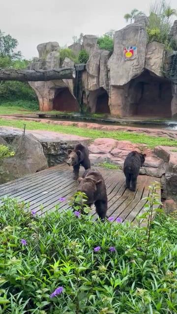 Зоопарк и сафари-парк Дуншань в Хайкоу, о.Хайнань, Китай.