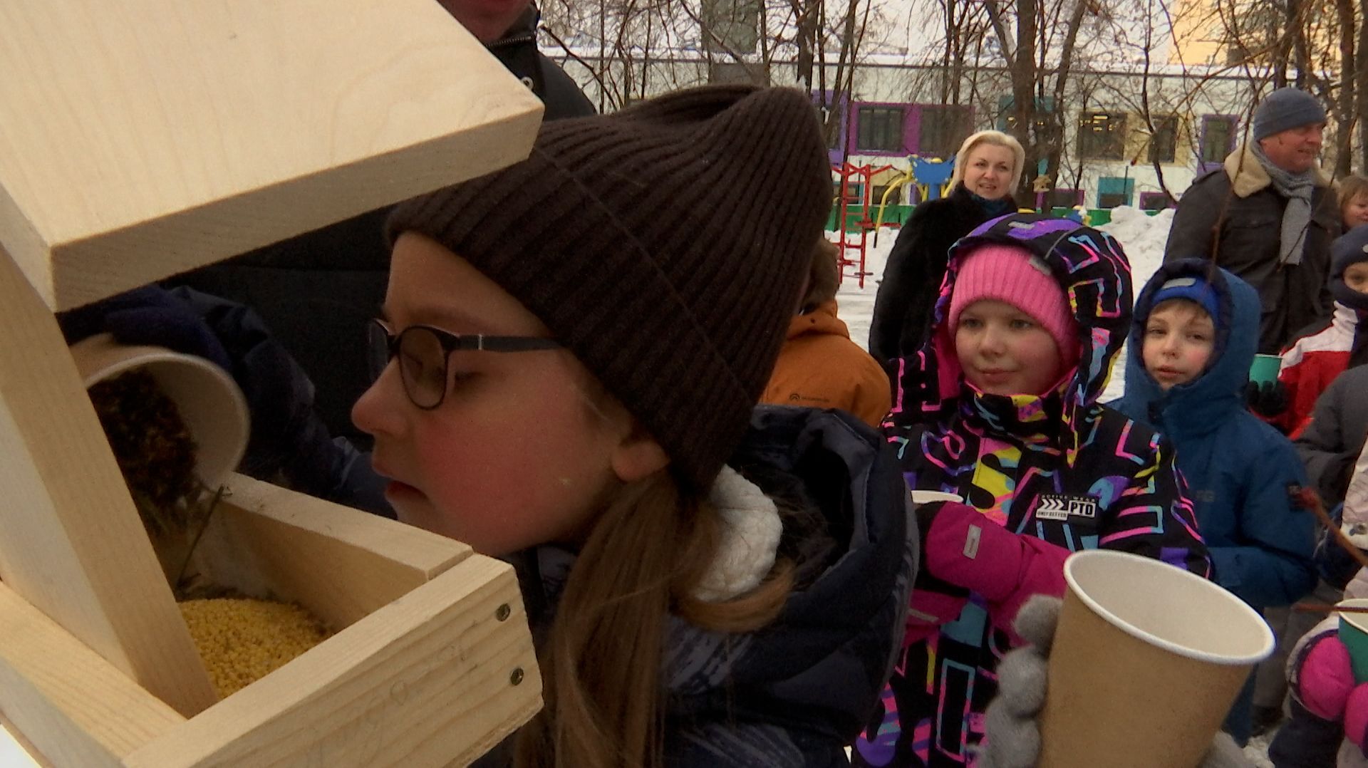 Забота о пернатых