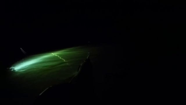 Охота на дамбе. Апрель 2022