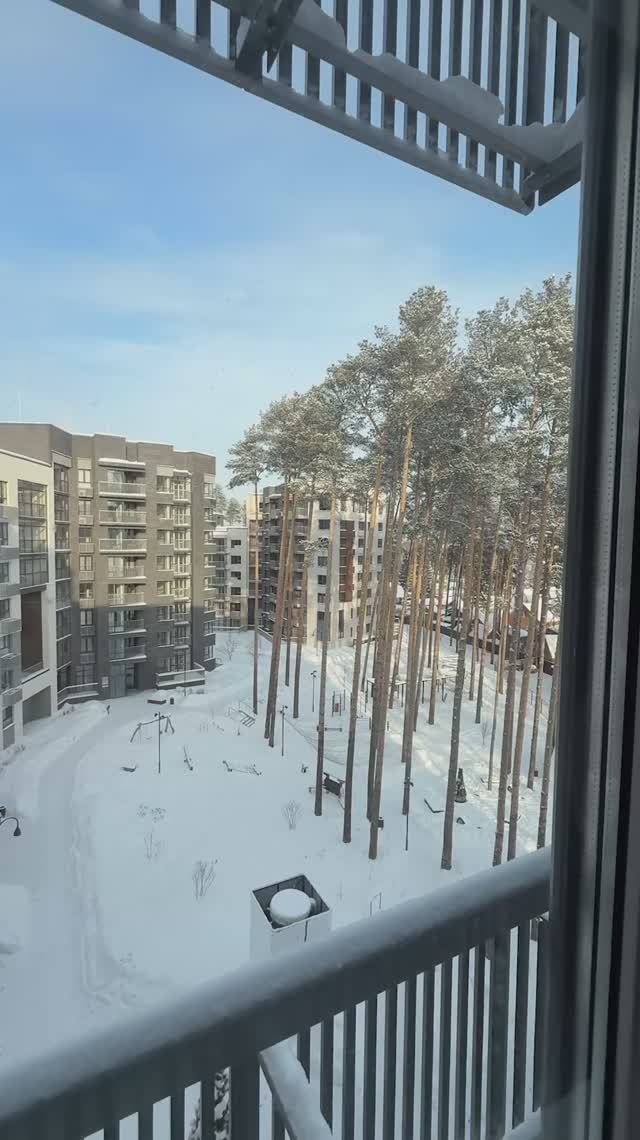 Онлайн-экскурсия. ЖК «ЛЕС», дом №1, секция 1, этаж 6, кв. 23