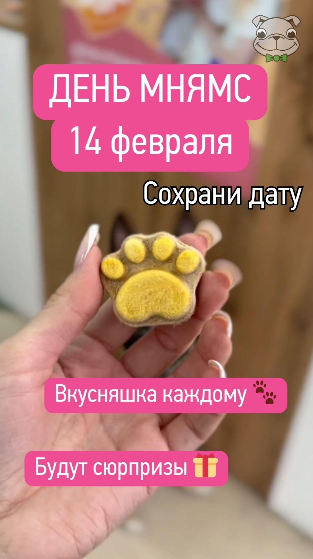14 февраля — День Мнямс в “Мистер Гав” 🐾