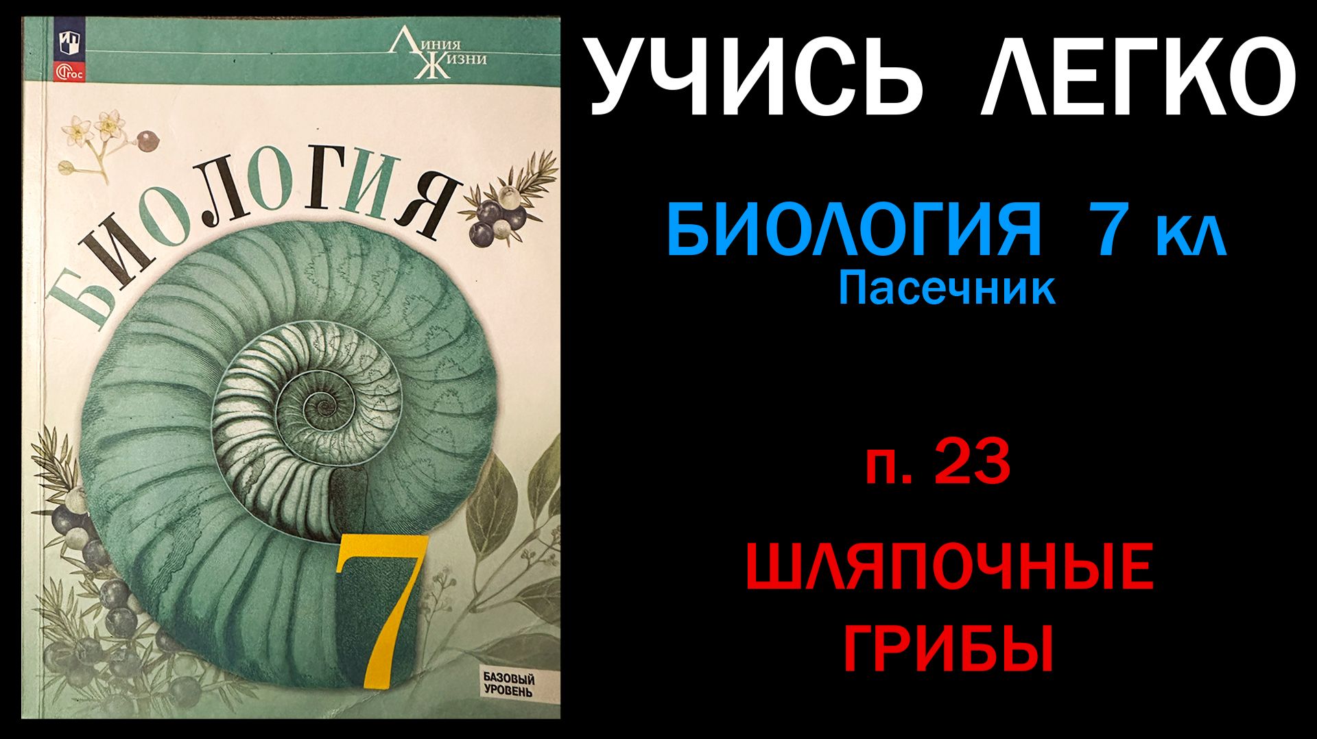 Биология 7 класс Пасечник, Суматохин параграф 23 Шляпочные грибы. Слушать онлайн