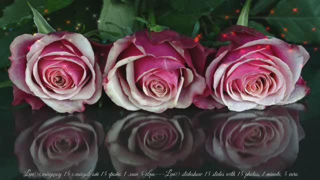 СЛАЙДШОУ ИЗ ВАШИХ ФОТО С ДНЕМ РОЖДЕНИЯ, ДОРОГАЯ !ДОРОГОЙ!!!