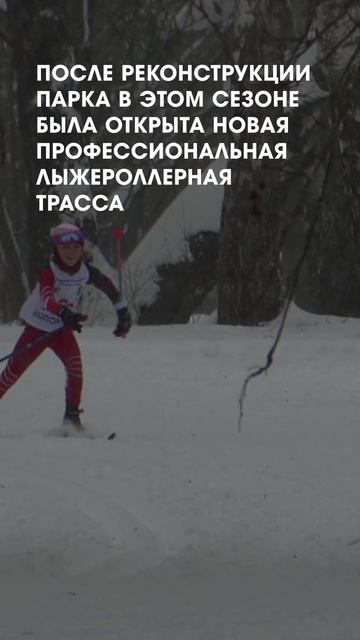 Первенство по лыжным гонкам