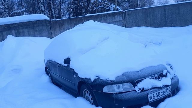 Вот и мои малышки