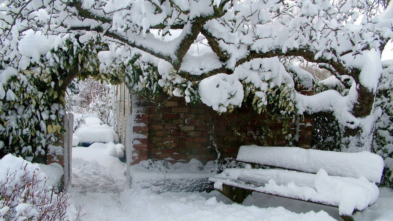 Заснеженный двор на 10 февраля