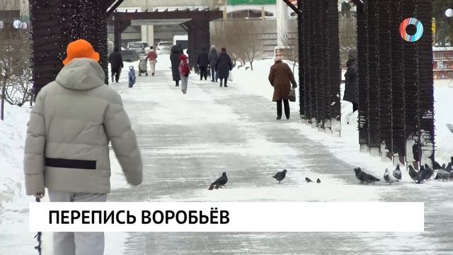 Новости от 10.02.2026