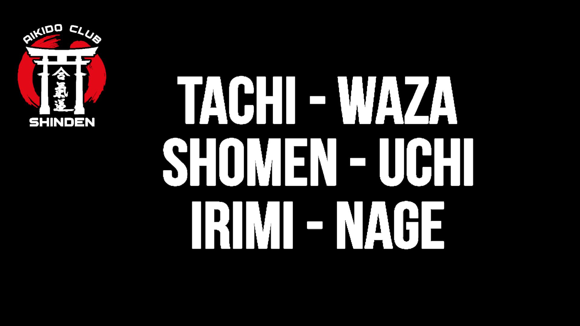 TACHI WAZA SHOMEN UCHI IRIMI NAGE. Школа айкидо SHINDEN.