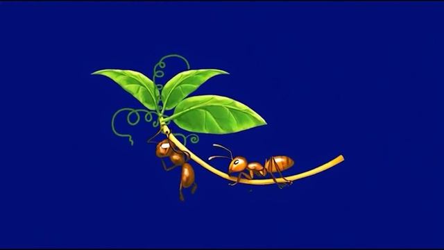 муравьи 03_encoded