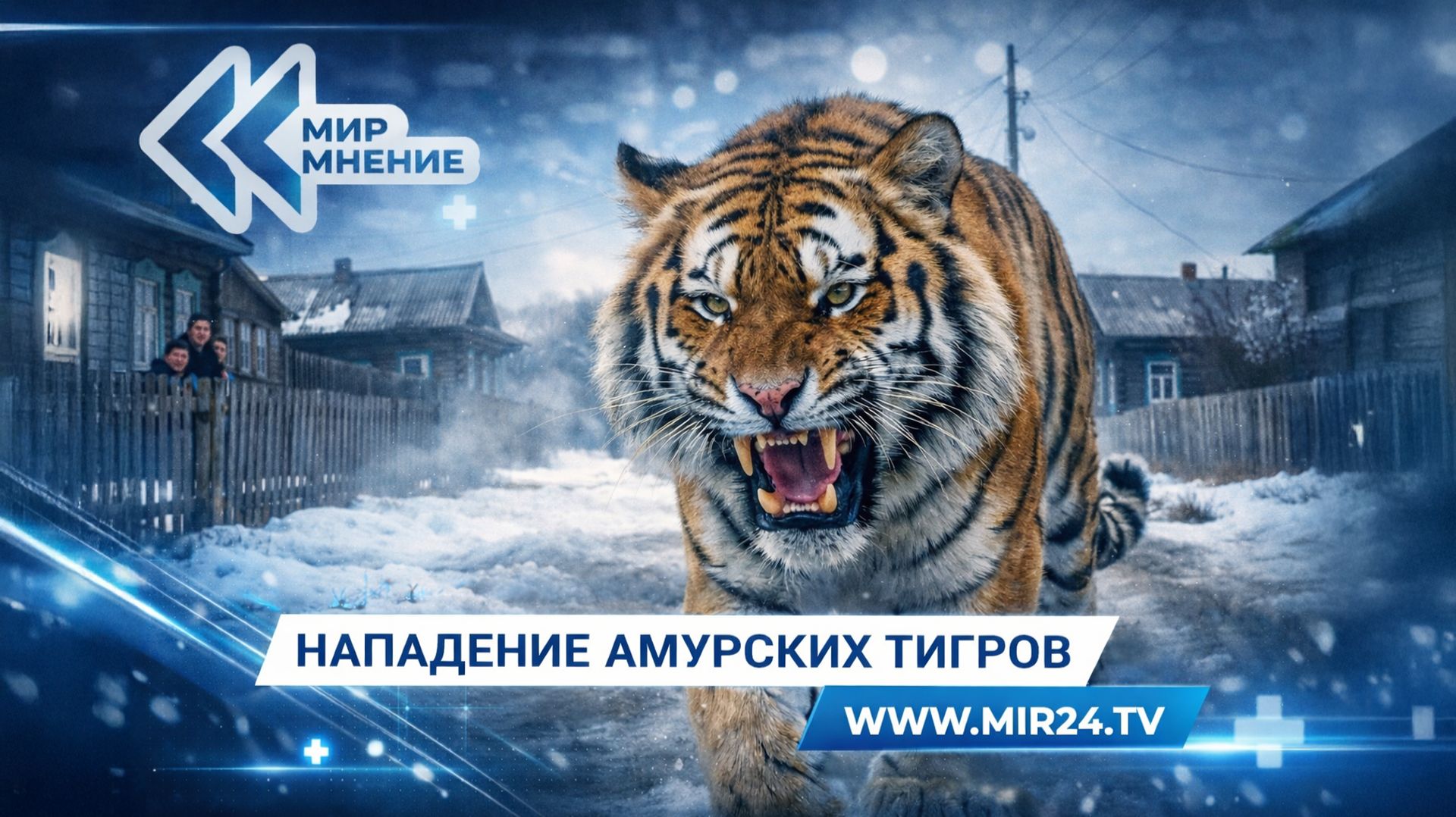 Амурские тигры или люди: когда прекратятся нападения хищников?