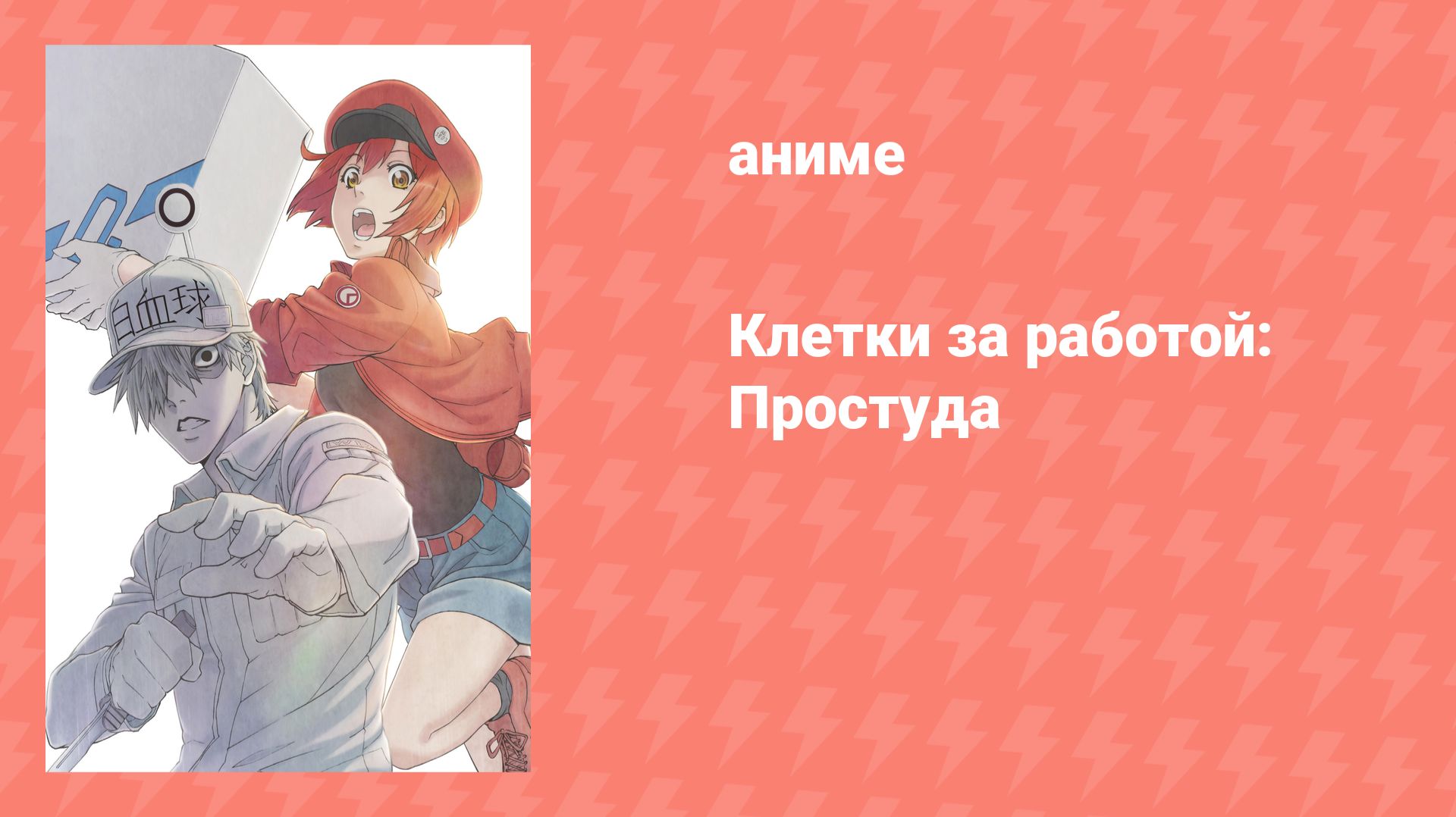 Клетки за работой: Простуда спецвыпуск (аниме-сериал, 2018)