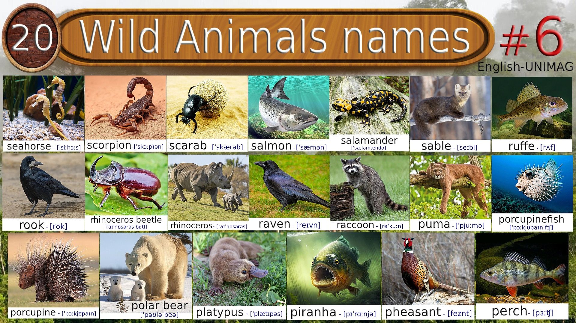 Комплект №6 электронных карточек "Wild Animals". Словарный запас, прокачка аудирования, говорения