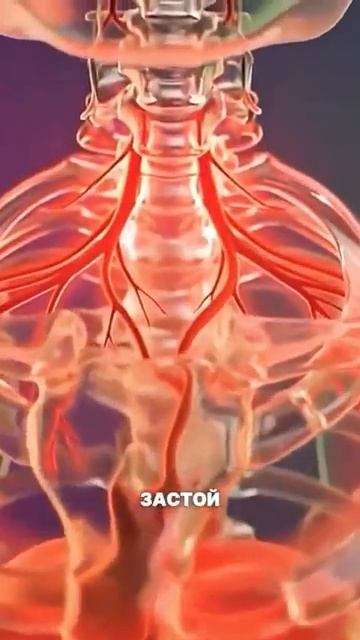 Польза регулярного ПОСЕЩЕНИЯ в бани