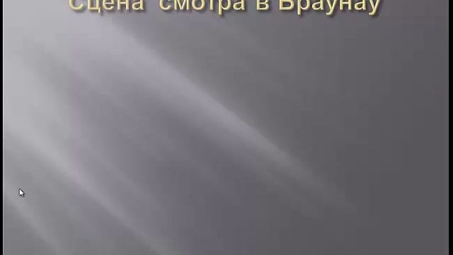 Изображение войны  1805-1807 гг ." Смотр войск под Браунау в " Войне и мире""