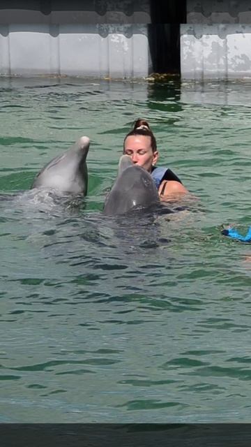 Нежные поцелуи