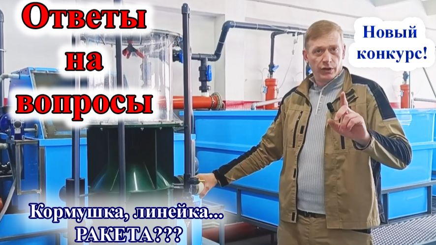 Ответы на вопросы. О помощи и обучении. Ленточная кормушка. Новый конкурс.