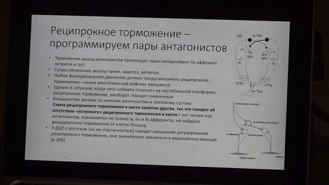 5. Проприоцептивные рефлексы спинного мозга / Кружок сумасшедших