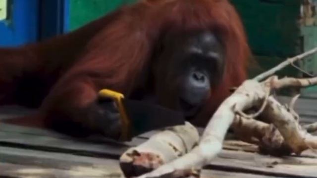 Когда надо работать, но ты это ты