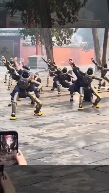 В Шаолиньском монастыре их используют для обучения кунг-фу