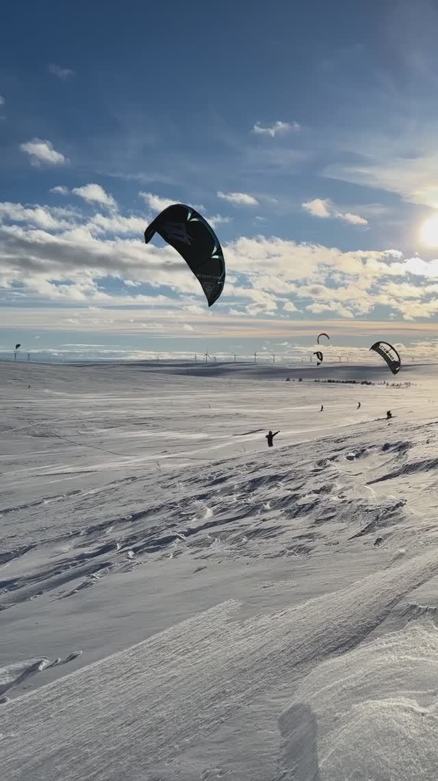 Белоснежная Тундра перезагружает!