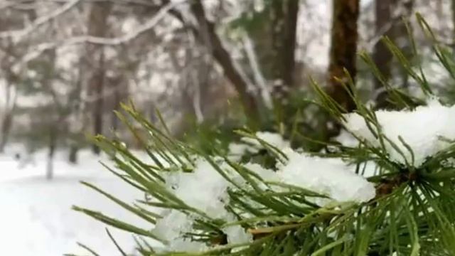 ACMR - Звуки снегопада для расслабления