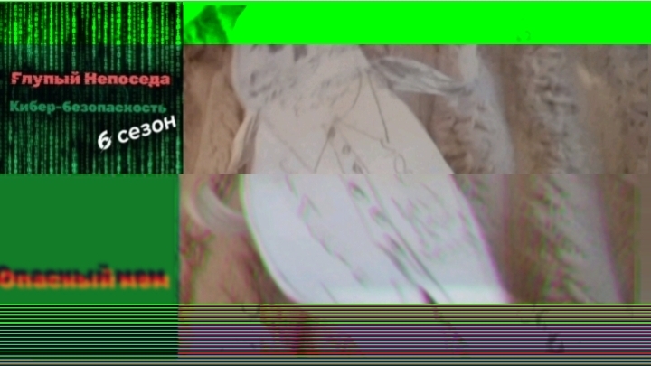 🤪🦉Глупый Непоседа, Кибер-безопасность🧑💻(6 сезон 3 серия, Опасный мем)