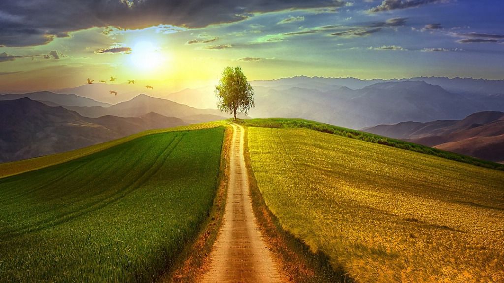 Мой супруг..........