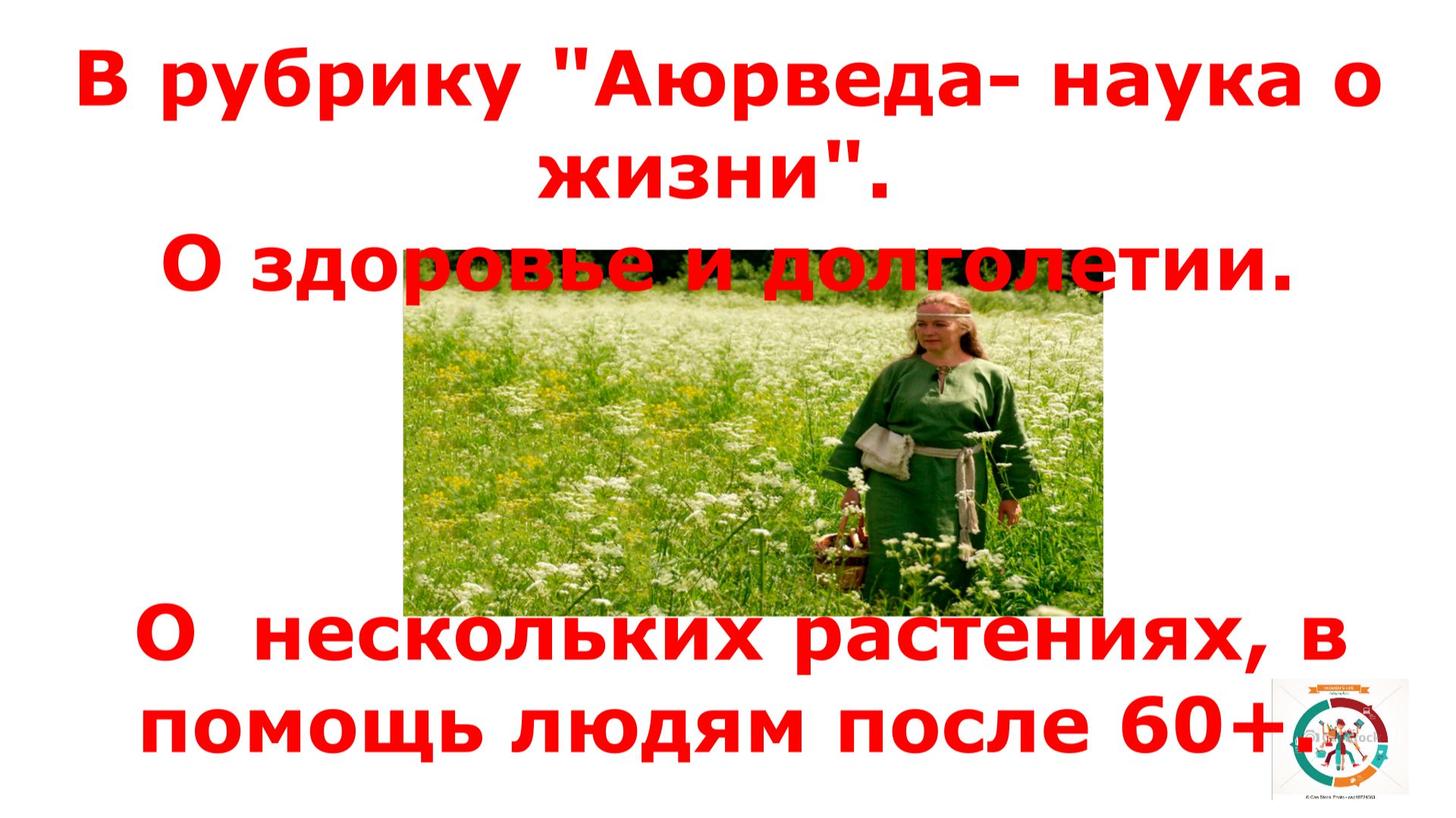 Лекарственные травы для людей  возрастом 60+.