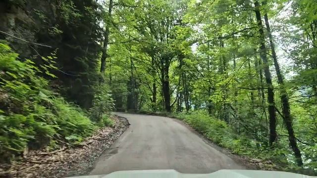 от дачи Сталина вдоль Рицы обратно, июнь 2025