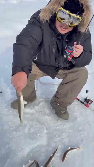 Ловил корюшку на гирлянду с Питерскими мормышками от Mr. Musurok на Сахалине!