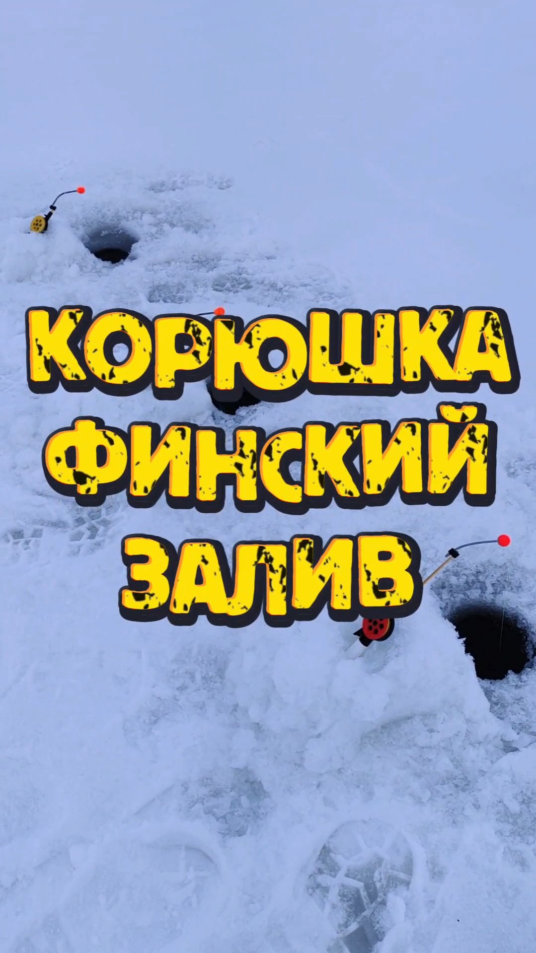 Корюшка Финский залив февраль 2026