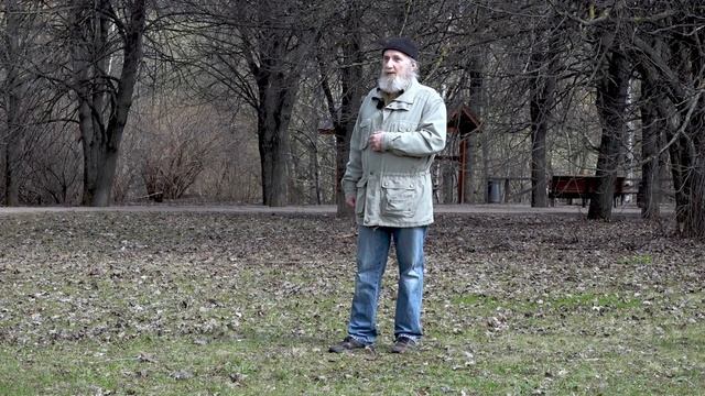 Как устроен шаг – фазы и как найти свою норму семинар кинезиотерапевта Зельдина Леонида Михайловича