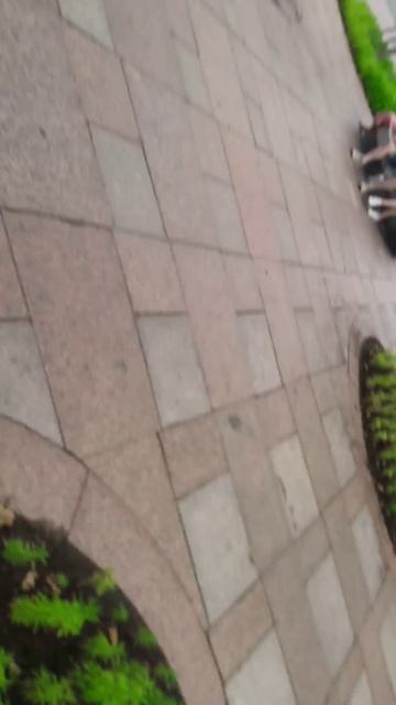 СПБ_ВСЕ ПЕРЕМЕНИТСЯ (BREAKBEAT 110226) - AIN_SOF TREE