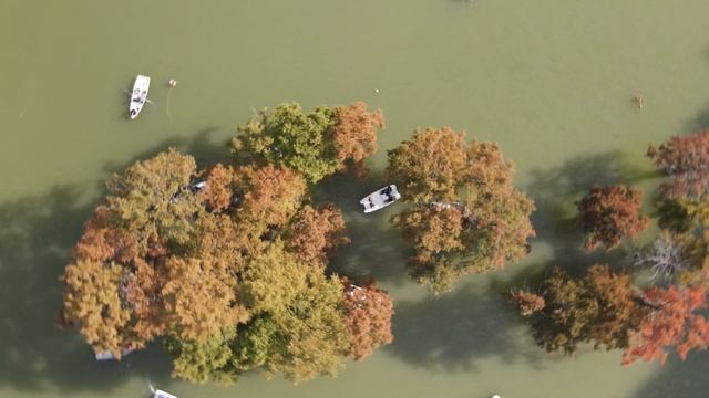 10.10.21 Кипарисы в п.Сукко. DJI Mavic Air 2