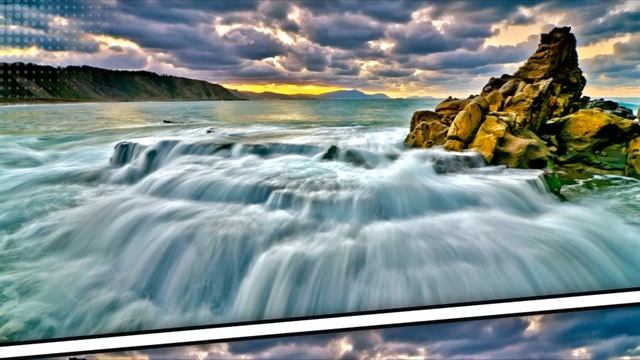 Stive Morgan - Union Foster