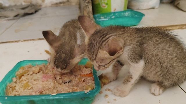 Не ешь, это мое