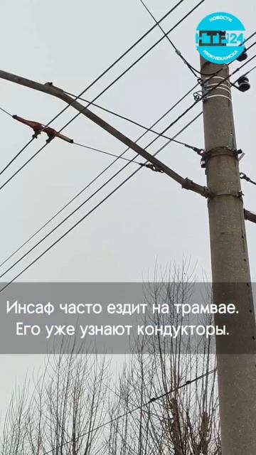 Железная дорога стала смыслом жизни