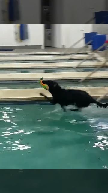 Пойдём поплаваем?! 🐟