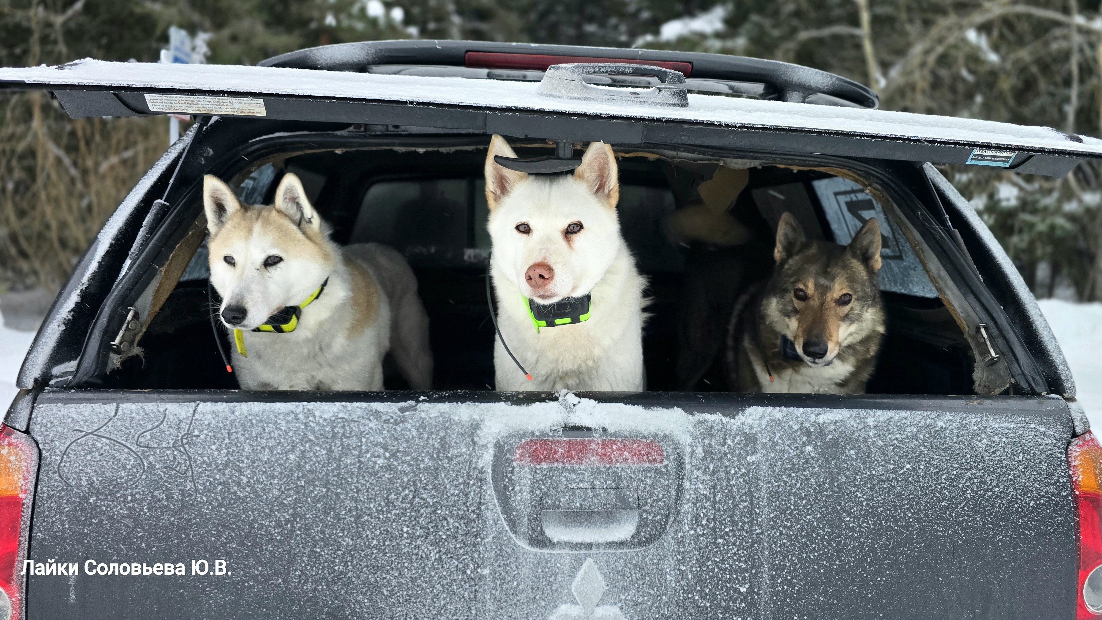 Новая жизнь в интернете