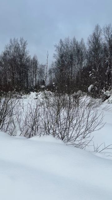 Продается участок 11 соток в ДПК Березовый Рай (рядом с дер. Полиносово), Александровский р-н.