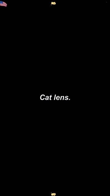 Every time I start recording. #cat #cats #catslovers #catsoft #fyp #kitten