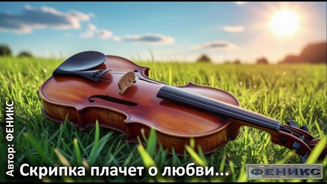Скрипка плачет о любви - (ФЕНИКС)