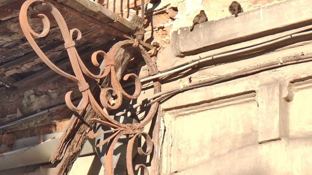 воробьиная перепись 7