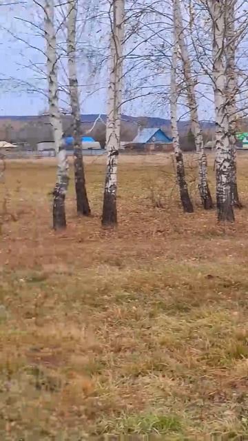 🚙 В гости к барашкам. Нугуш. Башкирия