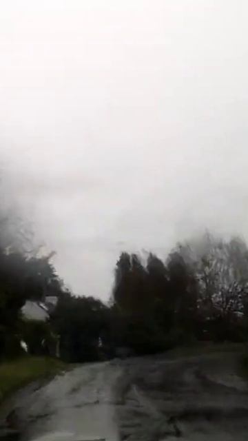 Анаит #shorts #ehomusic #музыкальность #анаит #music